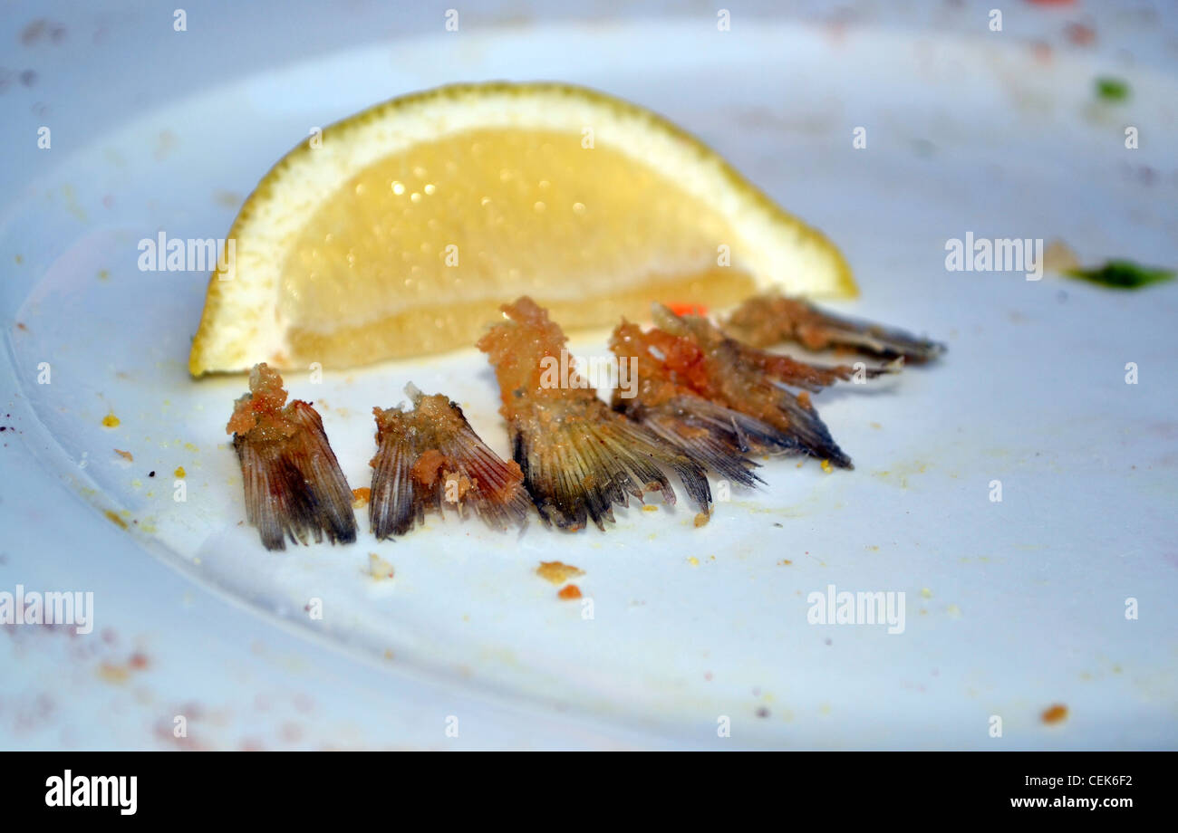 Fish tails hi-res stock photography and images - Alamy