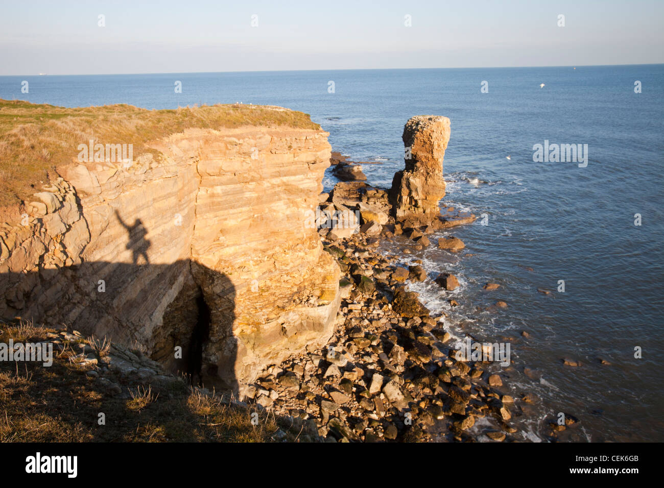 Sea stacks and sea arch on the North East coast at Whitburn between ...