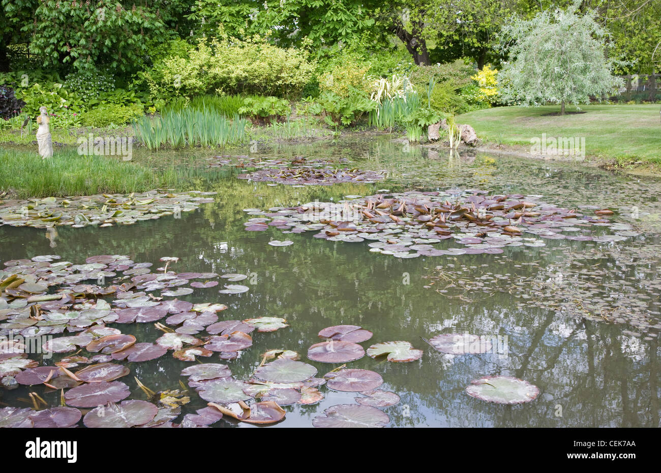 Garden pond and water feature hi-res stock photography and images - Alamy