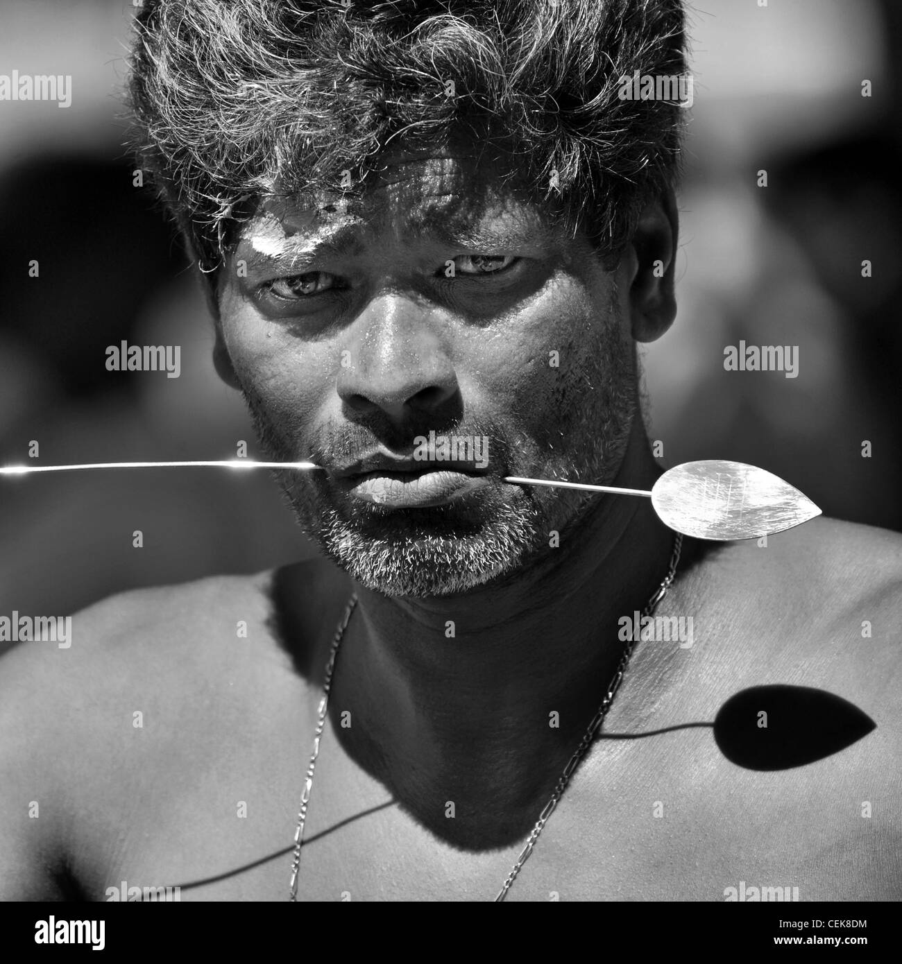 Portrait - hindu festival of thaipusam cavadee Stock Photo - Alamy