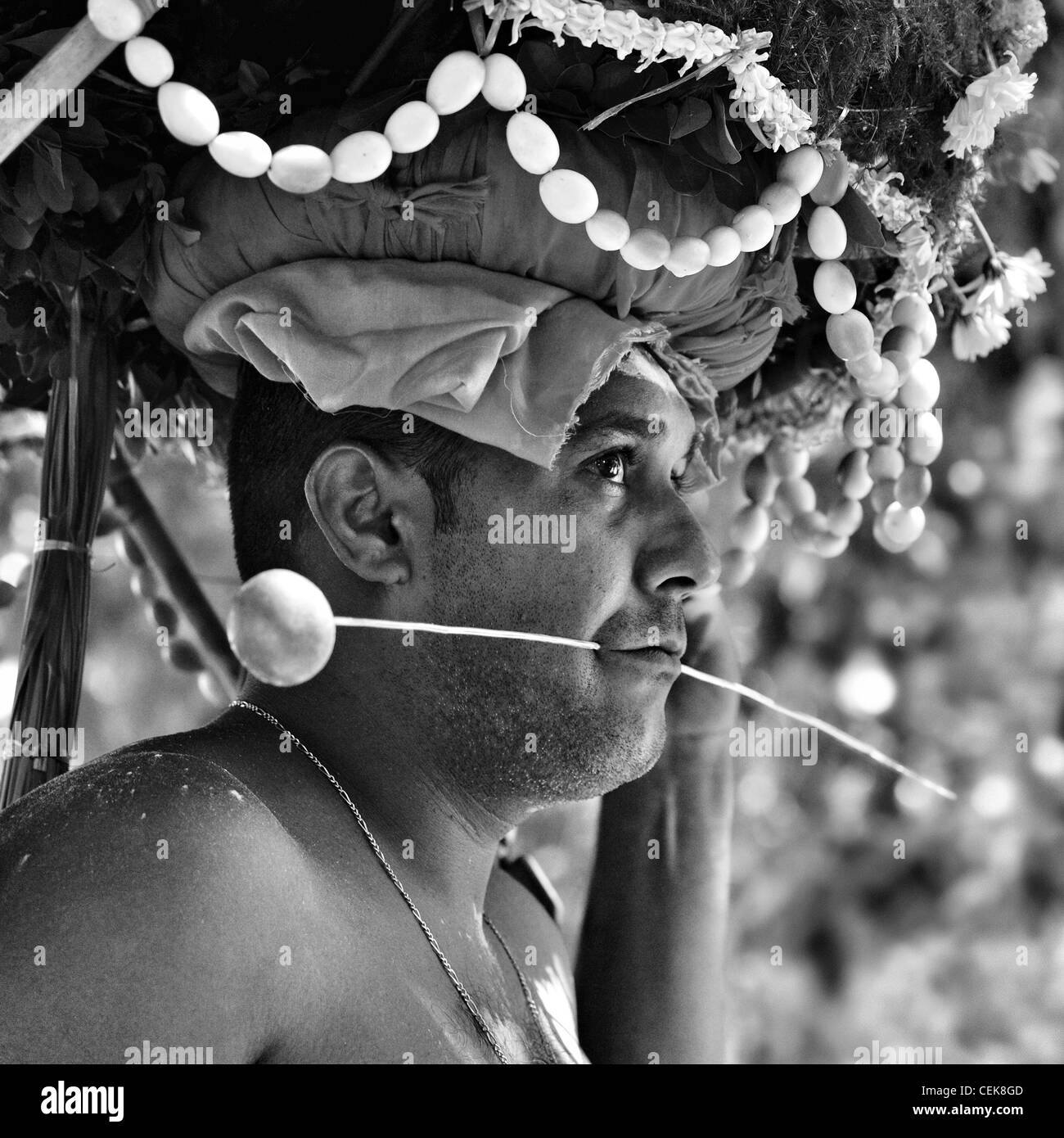 Portrait - hindu festival of thaipusam cavadee Stock Photo - Alamy