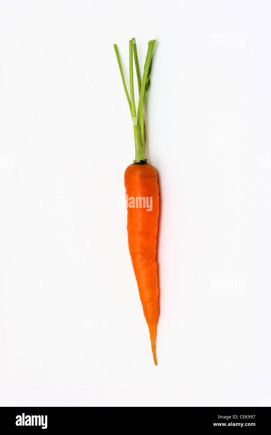 Cut trimmed Cut Out Stock Images & Pictures - Alamy