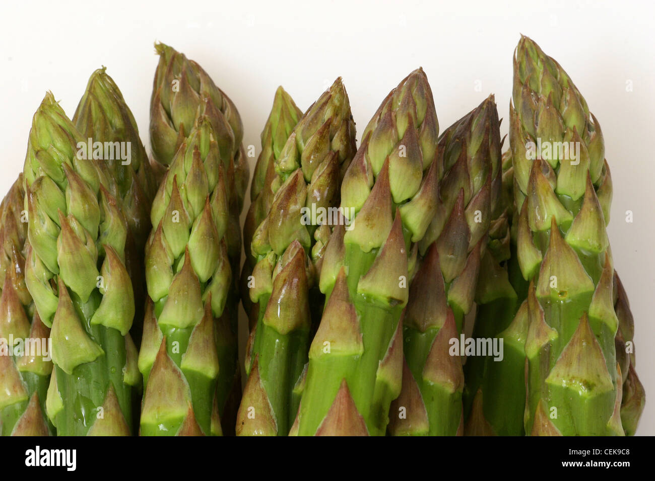 A bunch of asparagus tips Stock Photo - Alamy