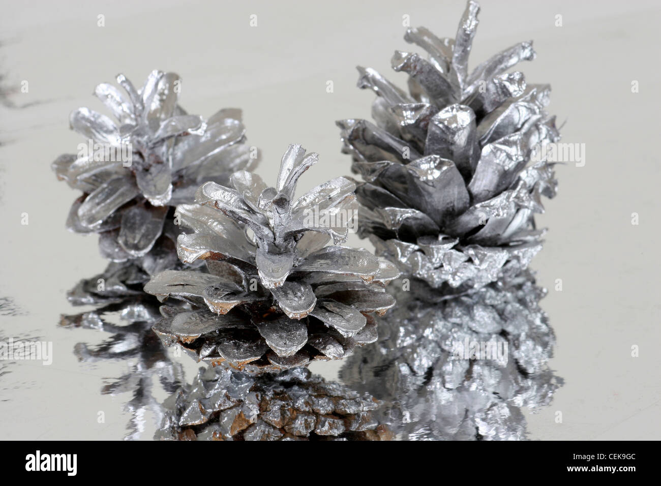 Three pine cones sprayed metallic silver, on a reflective surface Stock ...