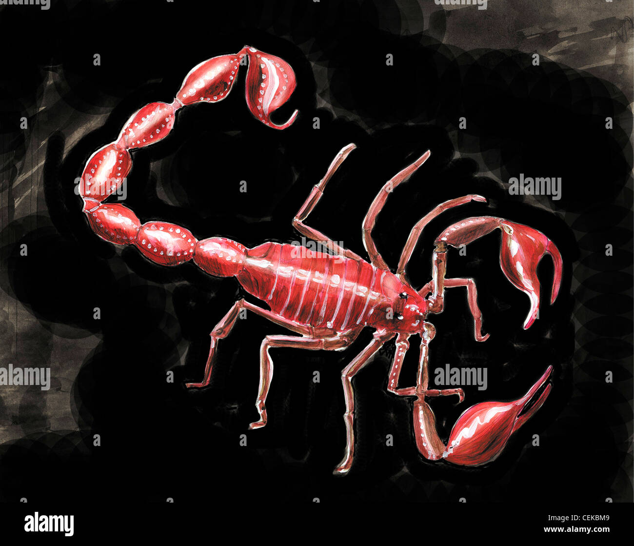 Horoscopes Scorpio: painting of red scorpion against black background ...
