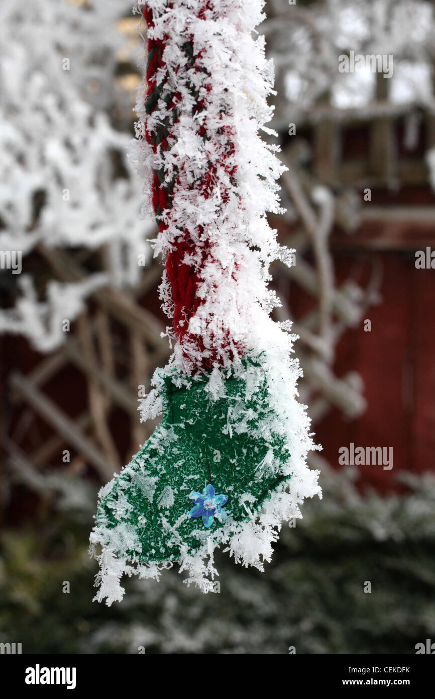 SOCK COVERED IN HOAR FROST ON A WASHING LINE Stock Photo - Alamy