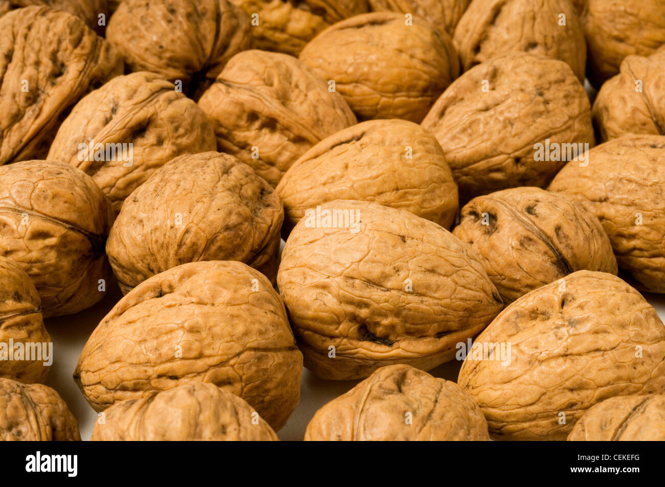 In their shells hi-res stock photography and images - Alamy