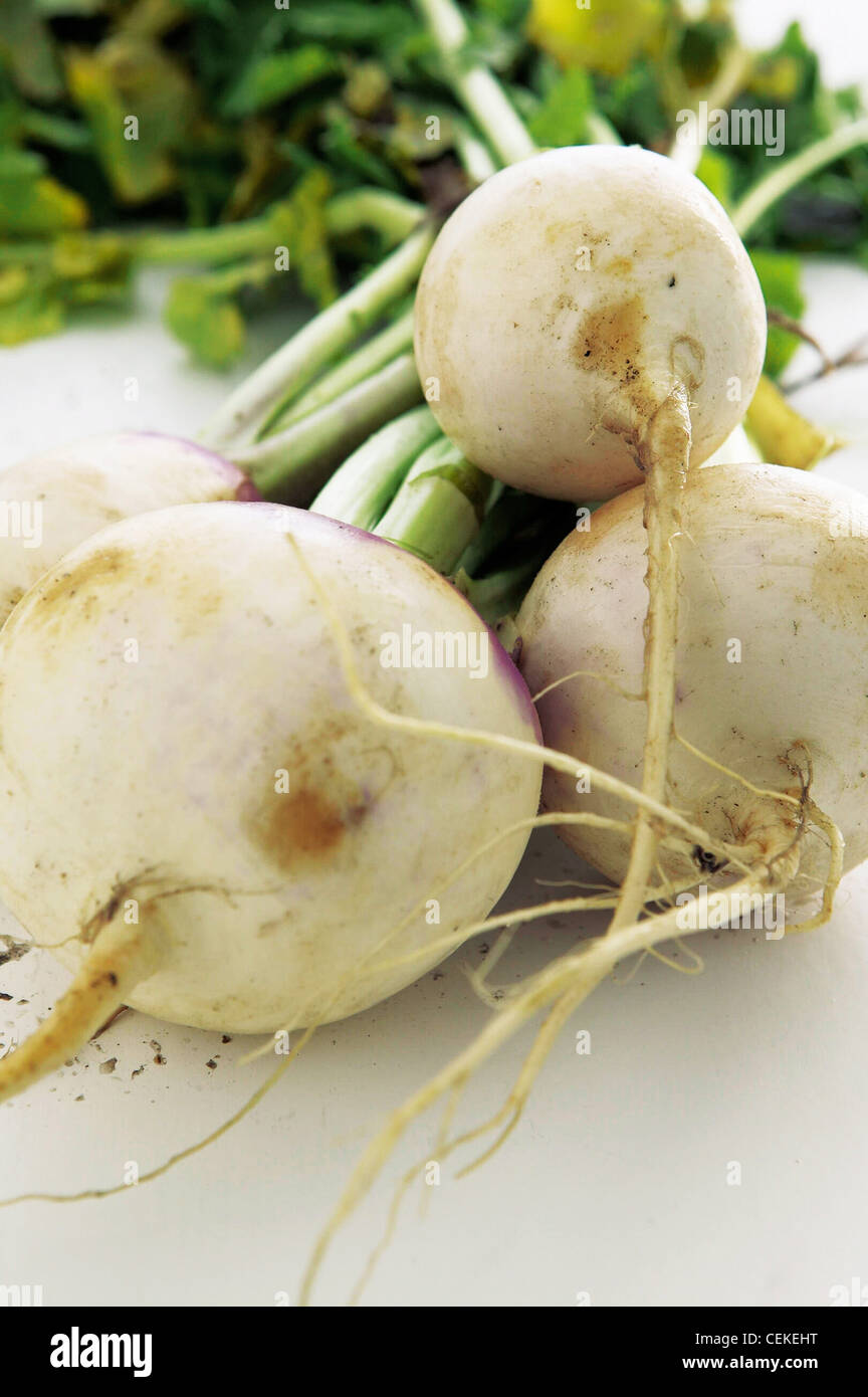 Pulled up from the ground hi-res stock photography and images - Alamy