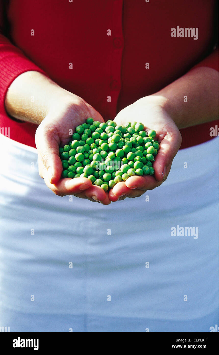 Like peas in a pod Peas are versatile spring vegetables that can be ...