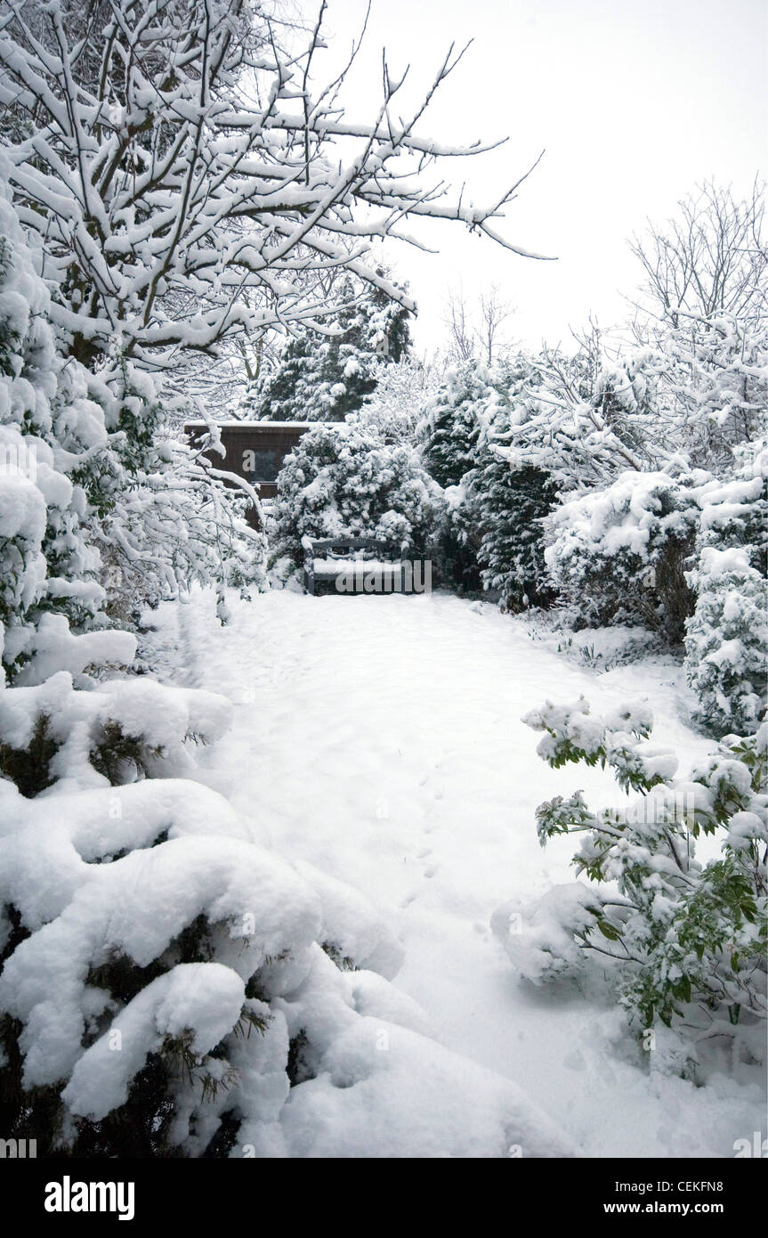 Garden with lawn, paths, bushes, trees, shed and bench covered in snow ...