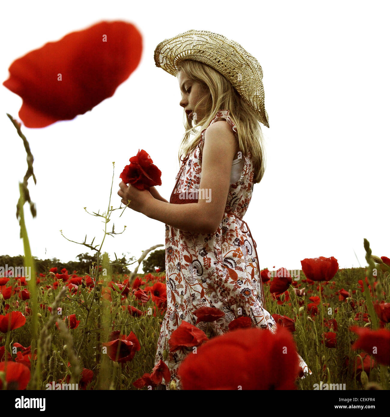 Poppy wearing girl hi-res stock photography and images - Alamy