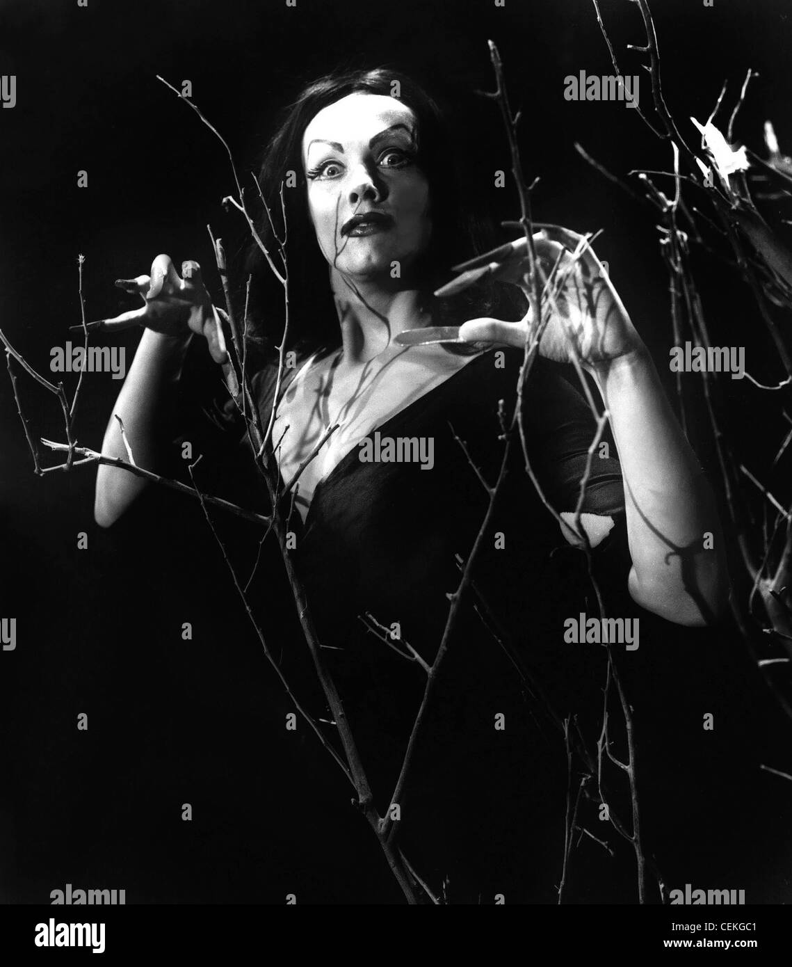 Lisa Marie Actress Vampira