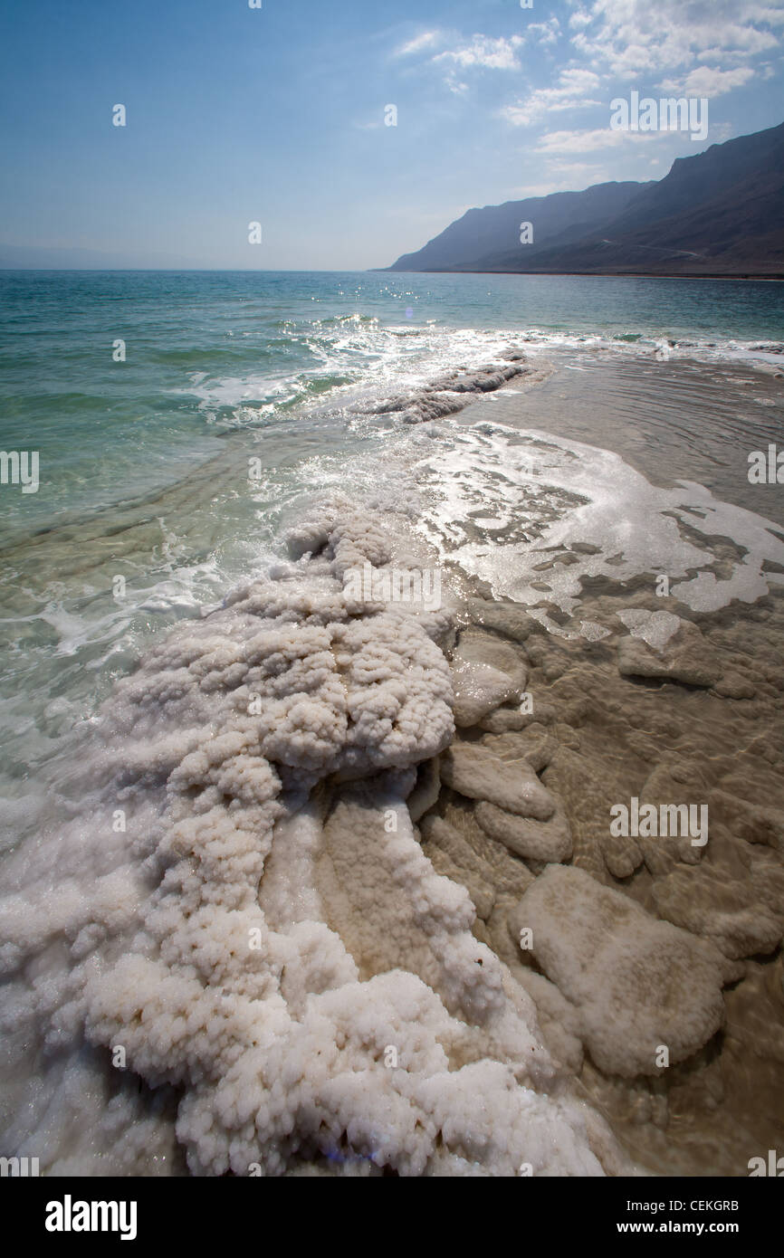 Middle East, Israel, Dead Sea salt on coast and in water Stock Photo ...