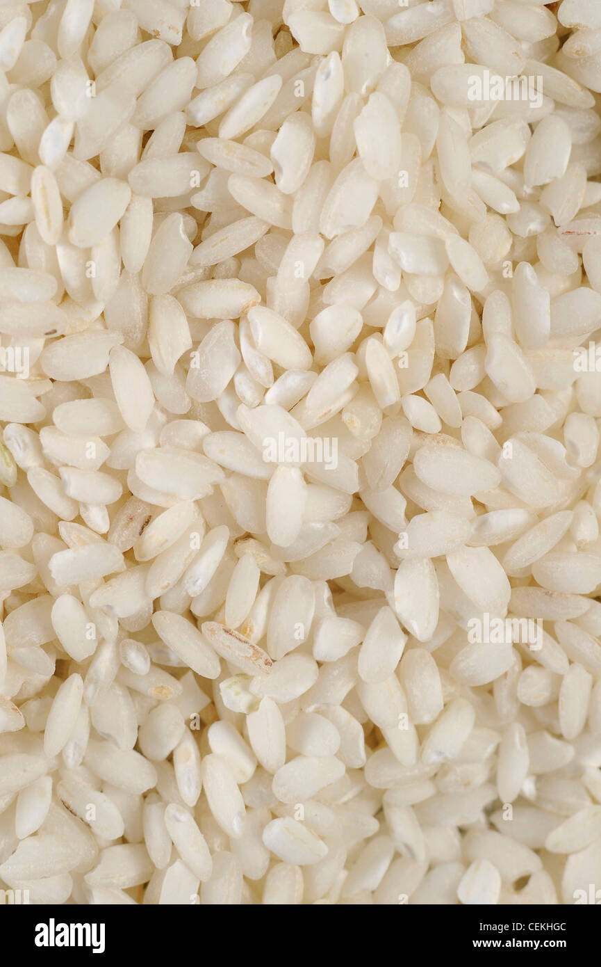 A close up of short grain arborio risotto rice Stock Photo - Alamy