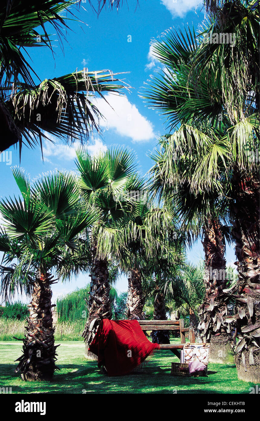 Trees are Forever Trees are a key design element in the garden Detail ...