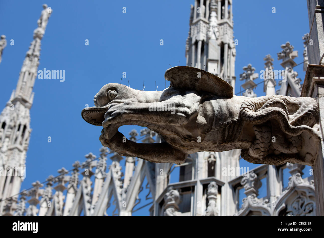 Italy, Milan, Milan Cathedral, Gargoyles Stock Photo - Alamy