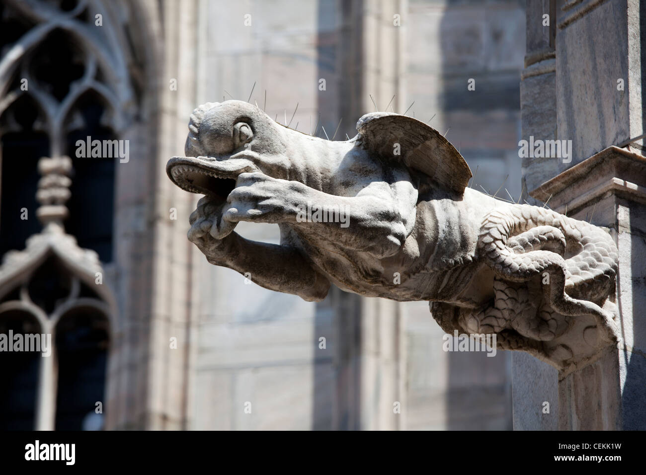 Italy, Milan, Milan Cathedral, Gargoyles Stock Photo - Alamy