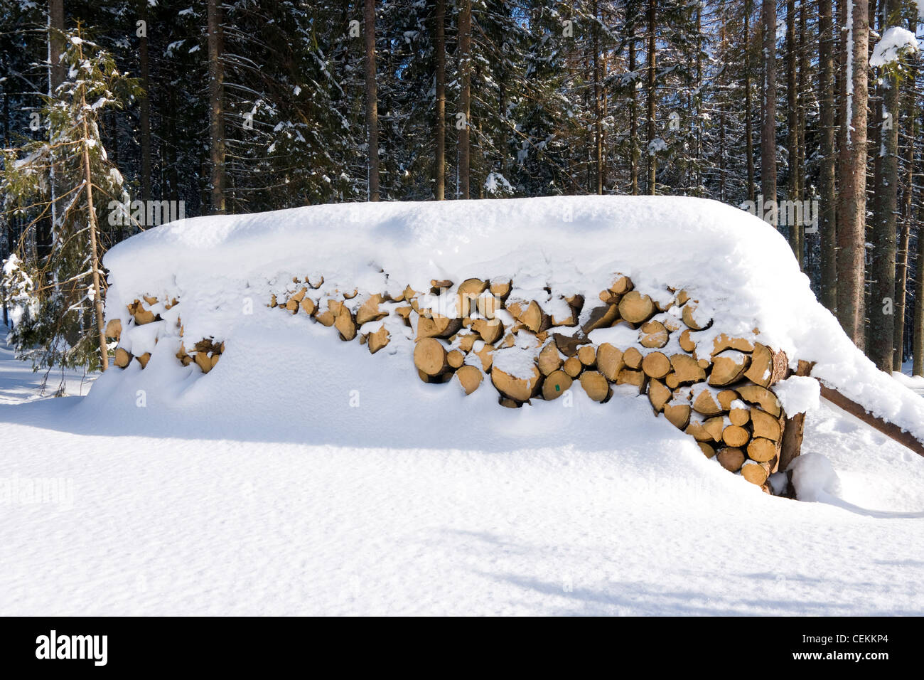 Logs under the snow Stock Photo - Alamy