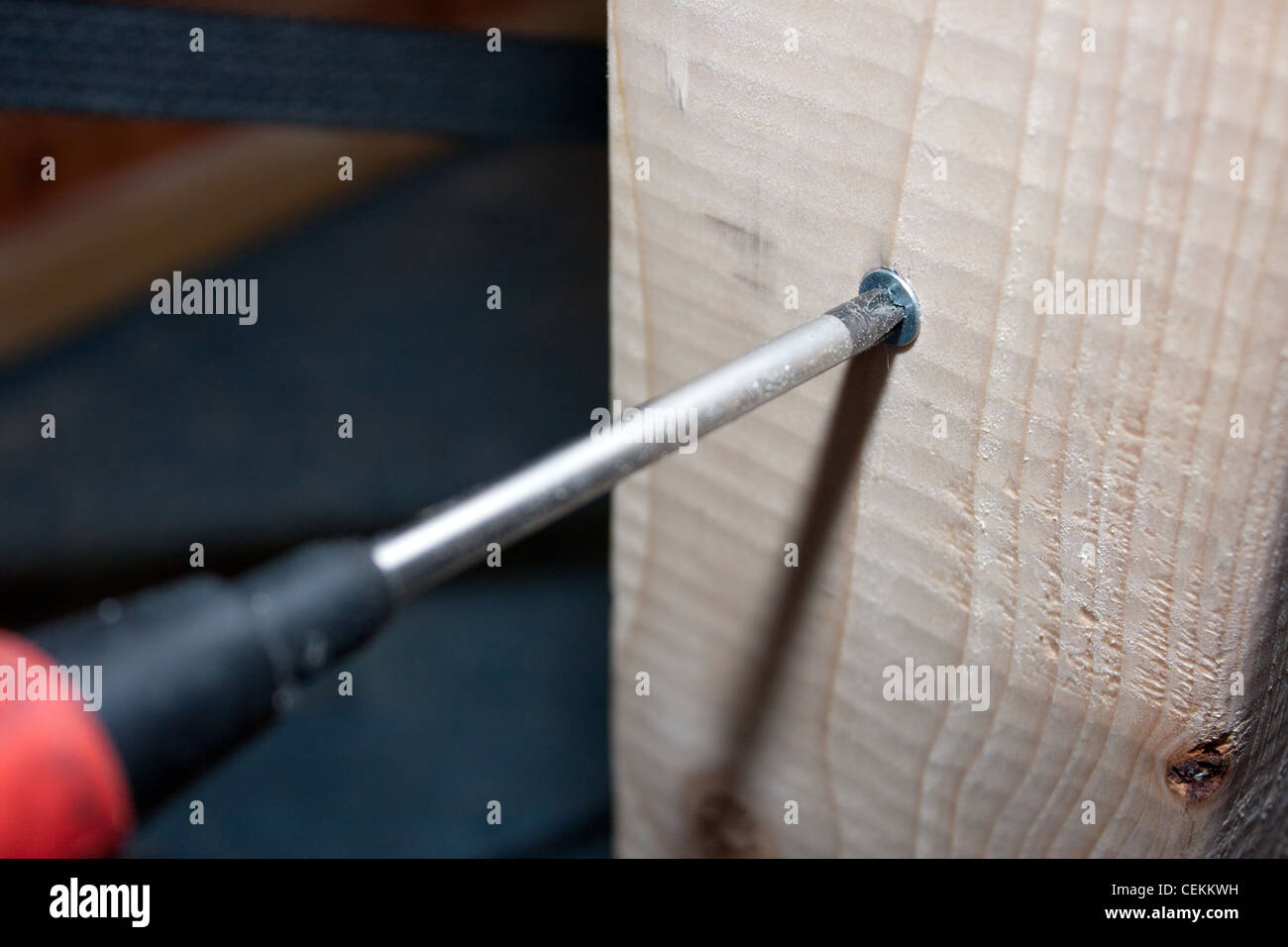 Cross recess type pan head screws in wood and being used by a builder ...