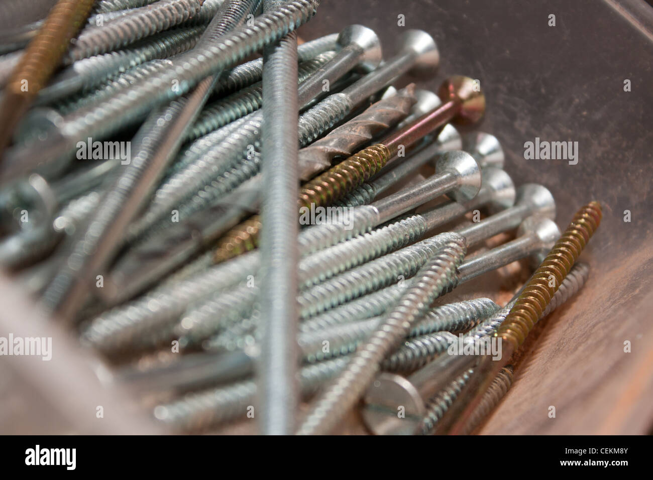 Cross recess type pan head screws in wood and being used by a builder ...
