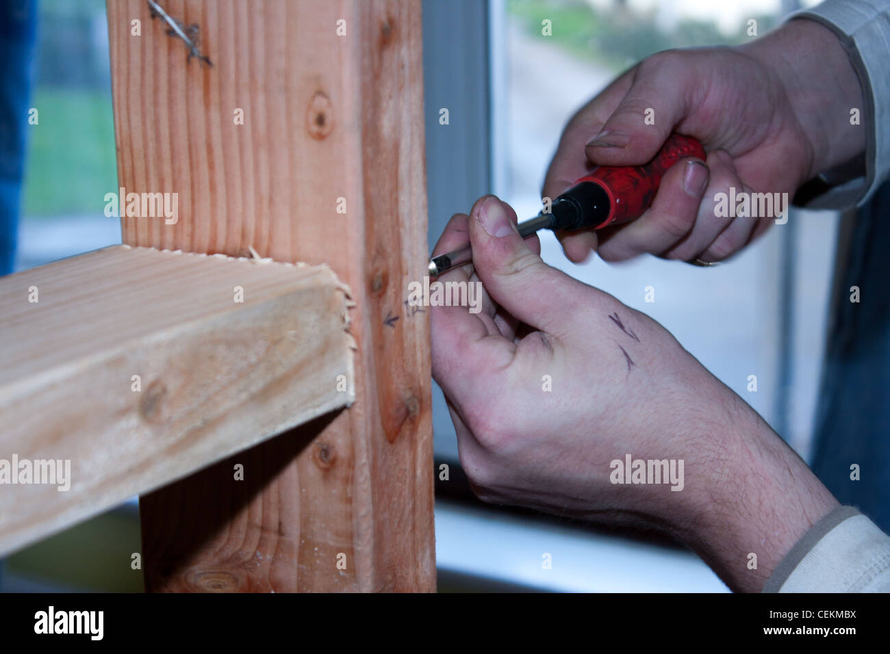 Cross recess type pan head screws in wood and being used by a builder ...