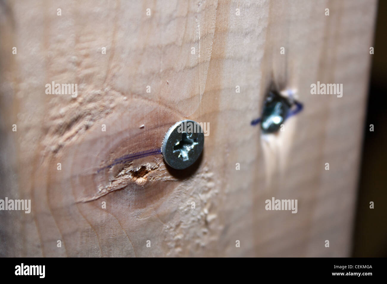 Cross recess type pan head screws in wood and being used by a builder ...