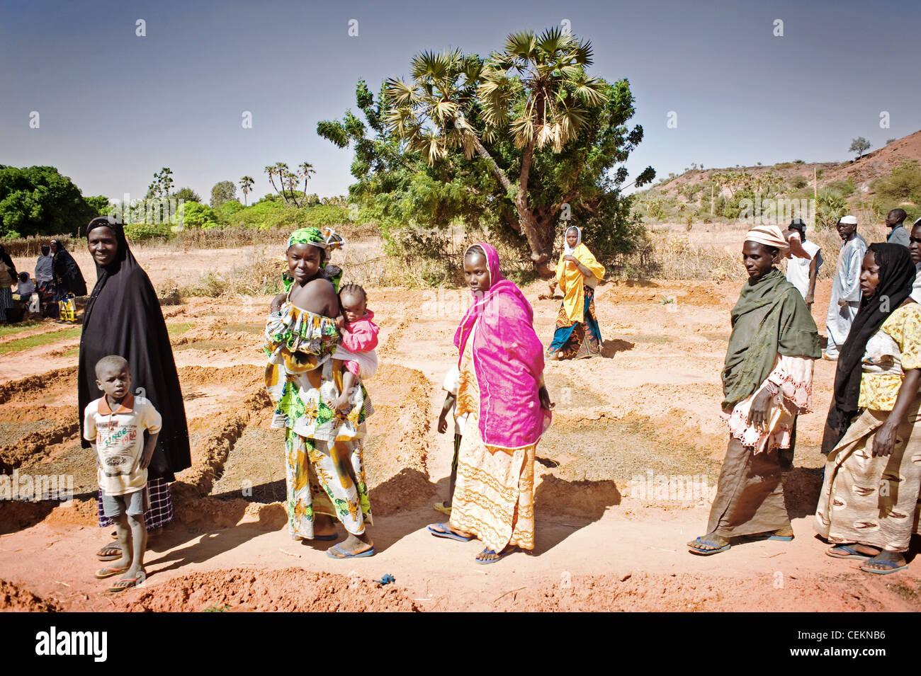 African People walk along a garden in Niamey, Niger Stock Photo - Alamy