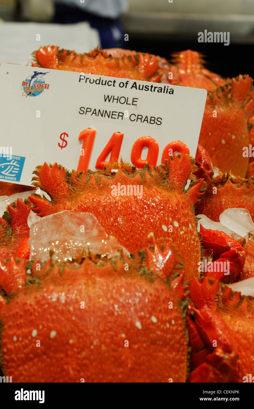 Spanner crab hi-res stock photography and images - Alamy