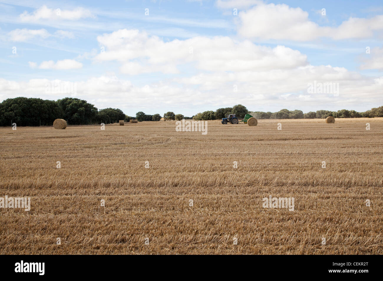 Hay field hi-res stock photography and images - Alamy