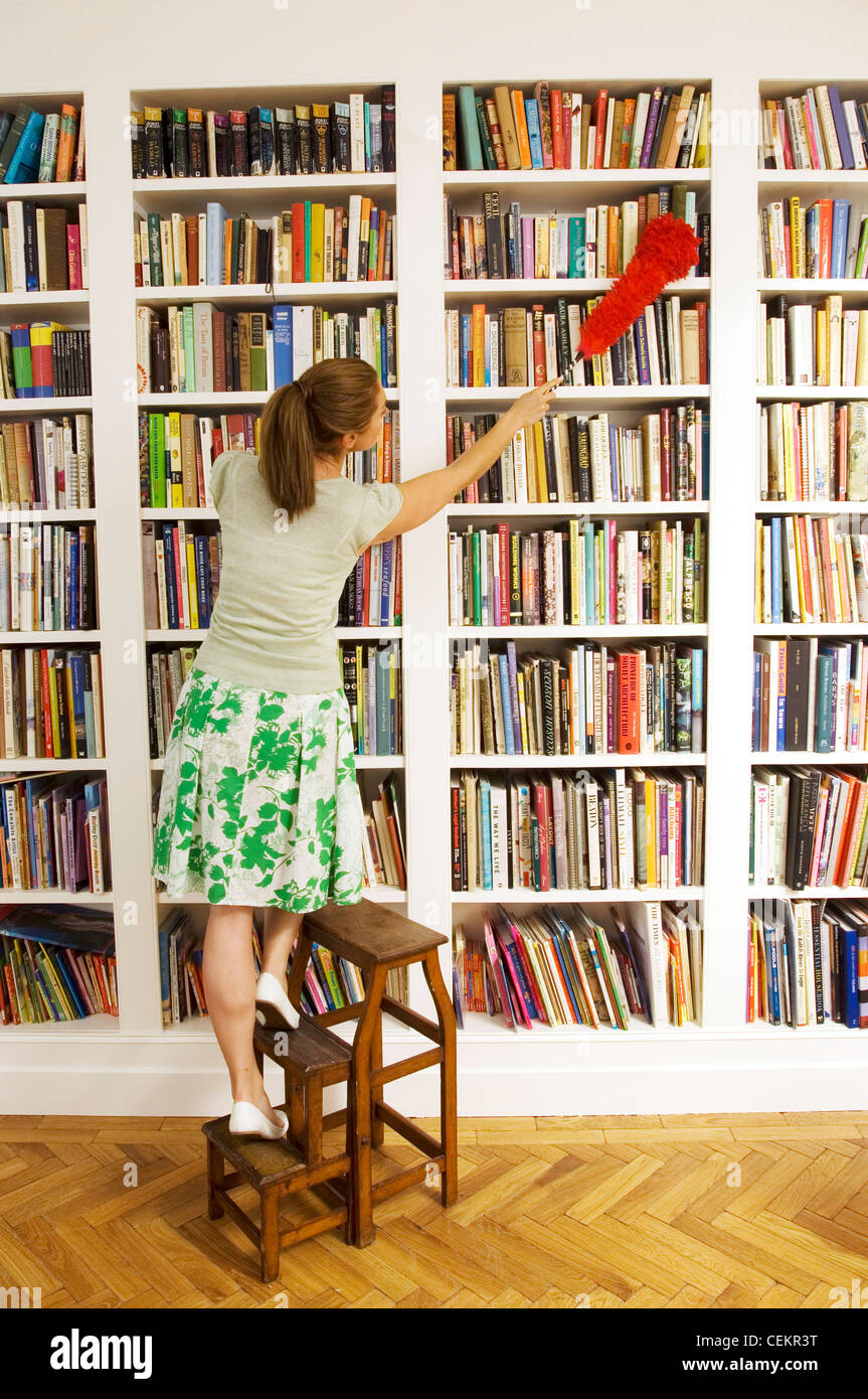 Female cleaning bookcase with fluffy duster Stock Photo - Alamy