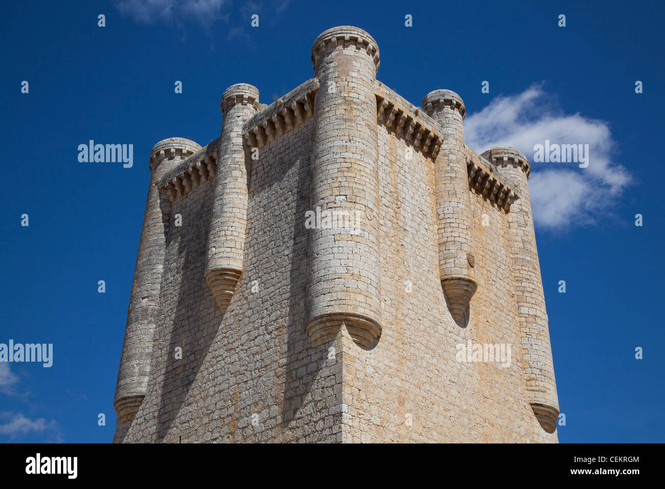 Spain, Castile and Leon, Torrelobaton, Torrelobaton Castle, Tower with ...