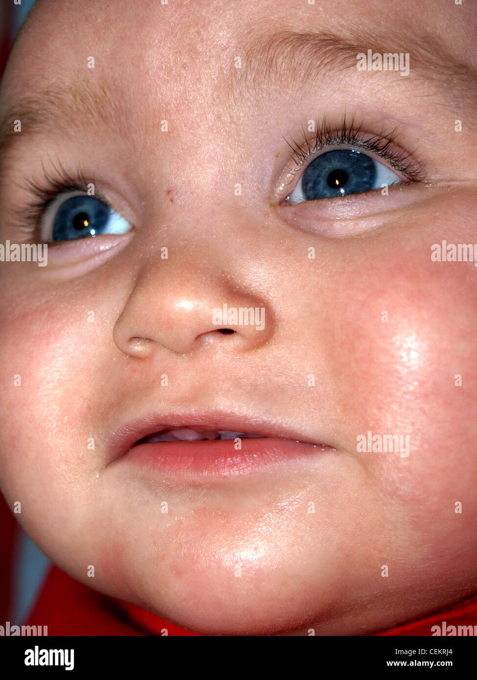 Male baby close up Stock Photo - Alamy