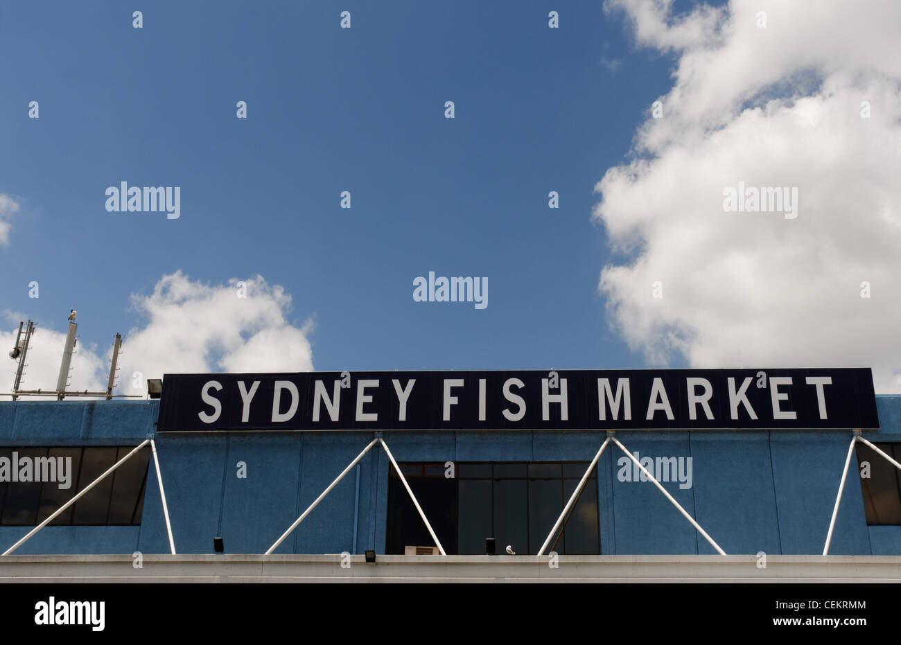 Sydney fish market australia hi-res stock photography and images - Alamy