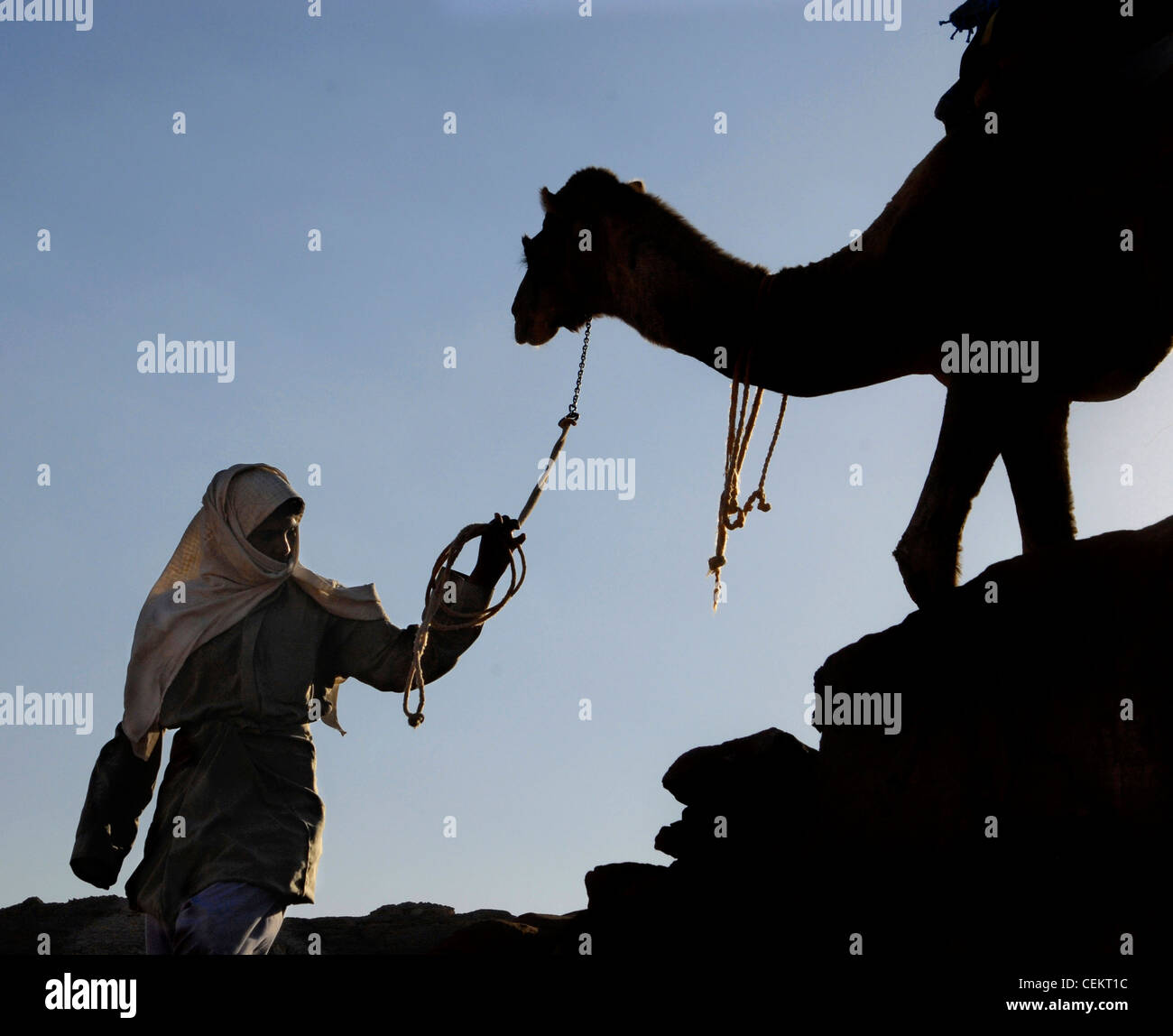 Arab Bedouin desert nomad and camel Stock Photo - Alamy