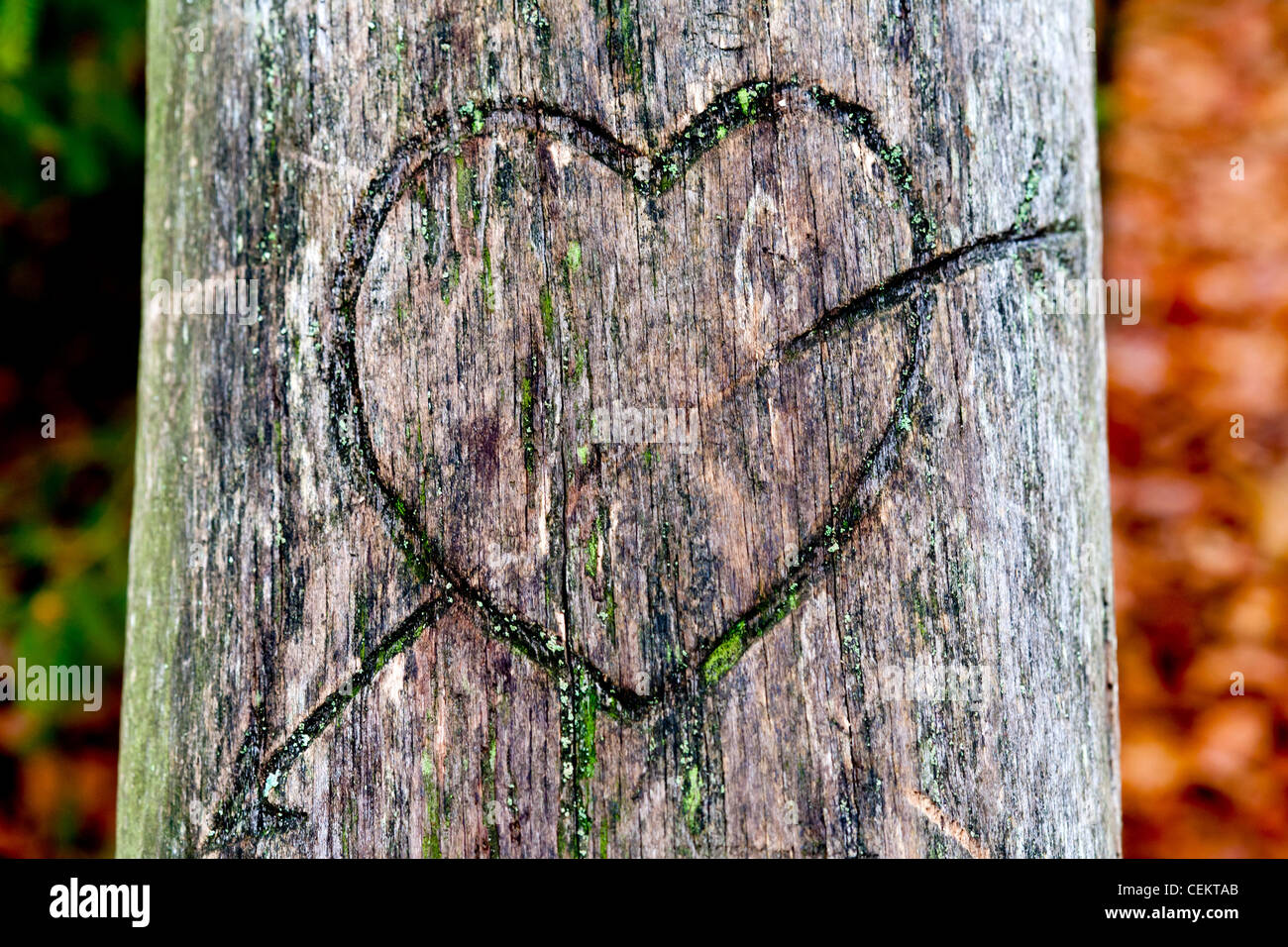 Heart And Arrow High Resolution Stock Photography and Images - Alamy