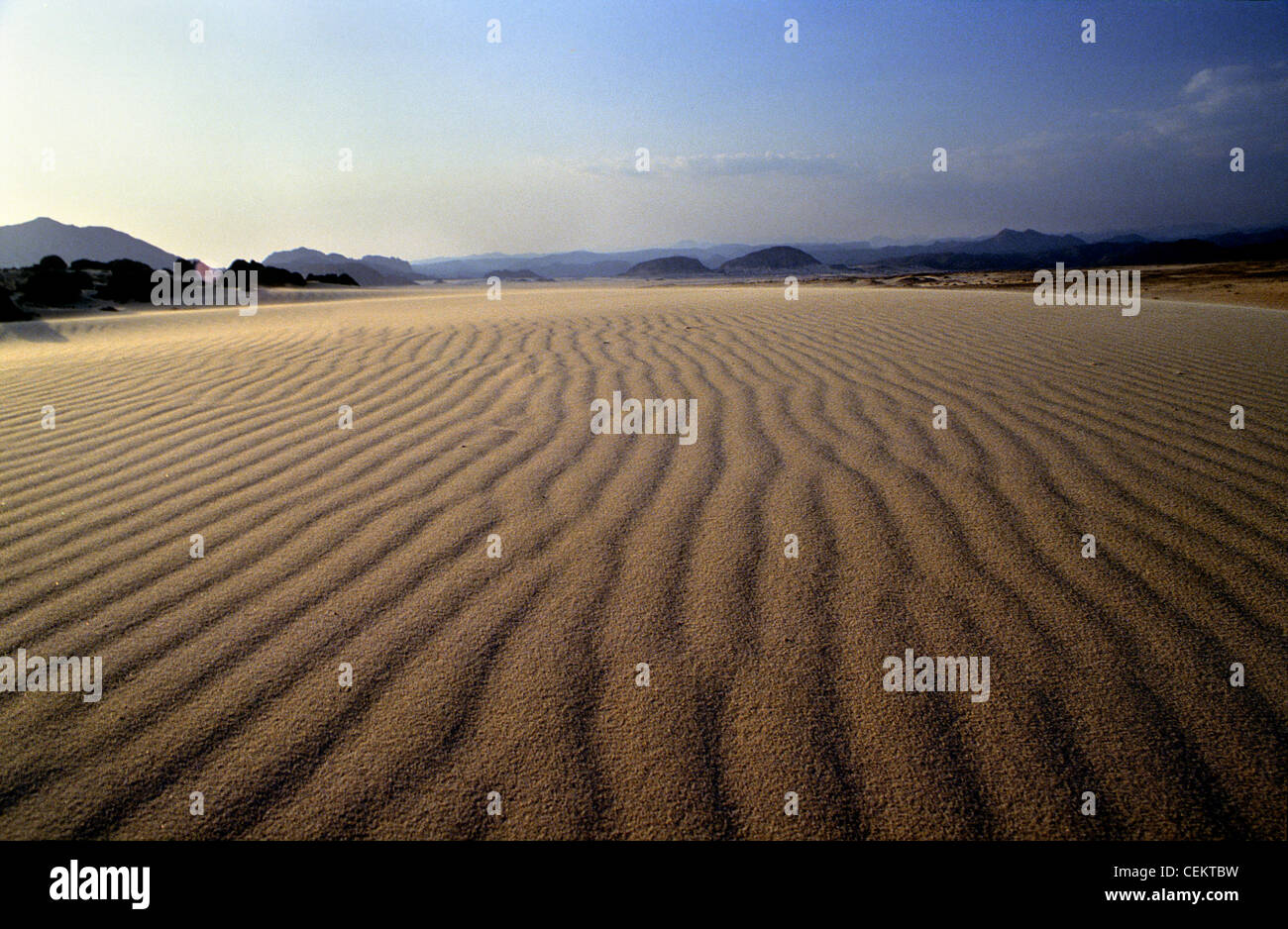 desert sand dune Stock Photo - Alamy