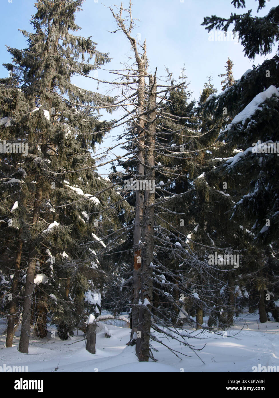 snowscape / winter landscape / Winterlandschaft Stock Photo - Alamy