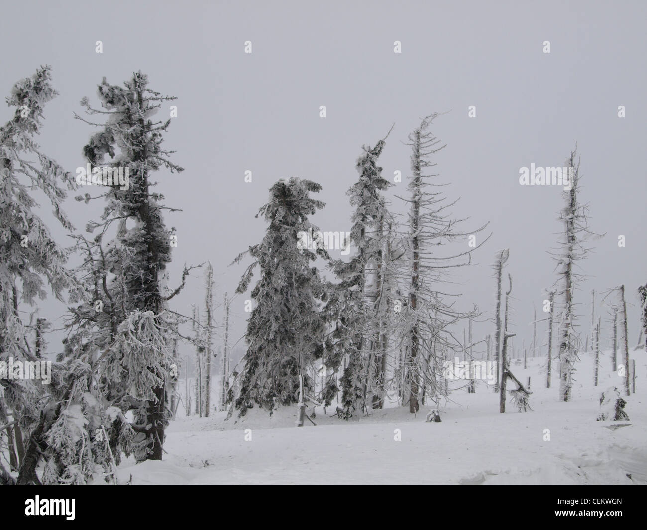 Landscapes snowscape hi-res stock photography and images - Alamy