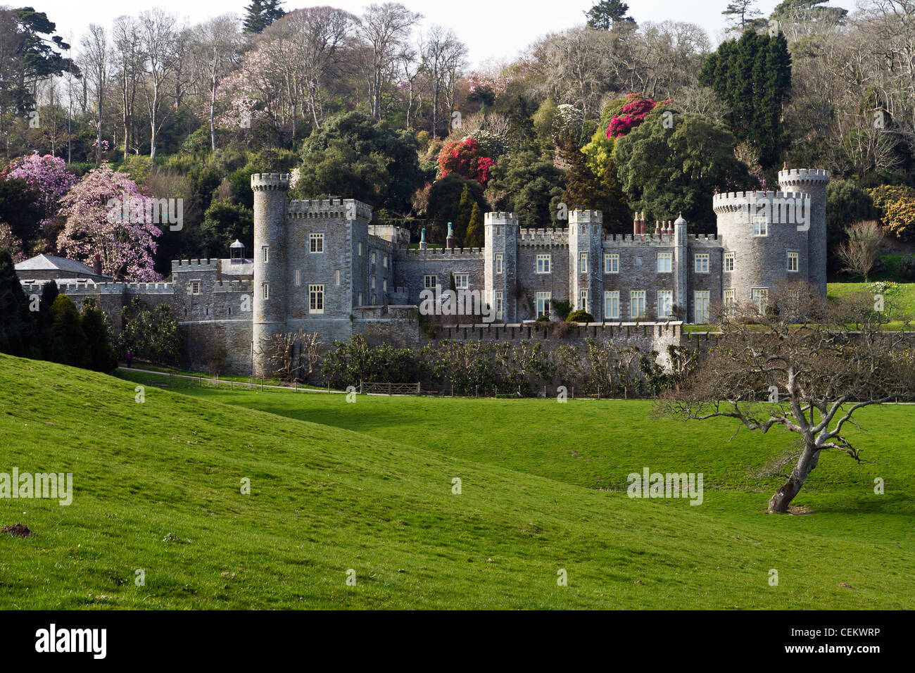 Caerhays gardens hi-res stock photography and images - Alamy