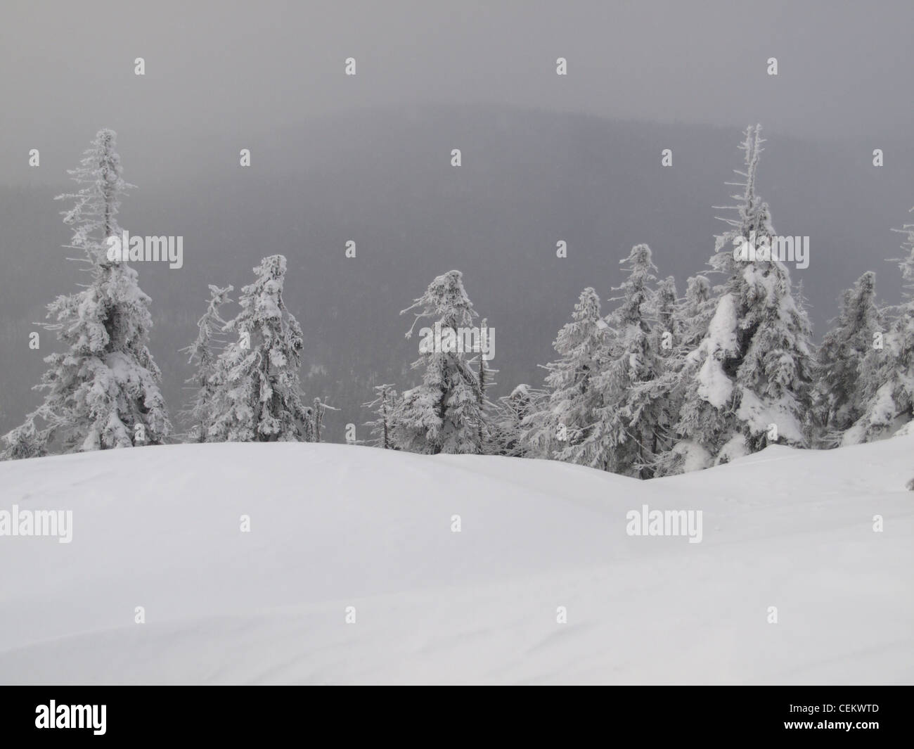 snowscape / winter landscape / Winterlandschaft Stock Photo - Alamy