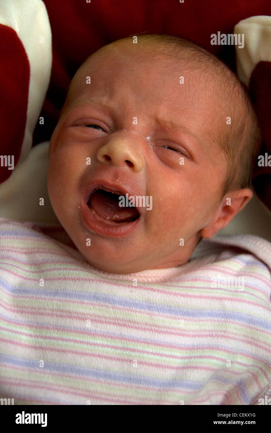 A newborn female baby dressed in a pink striped babygrow crying with ...