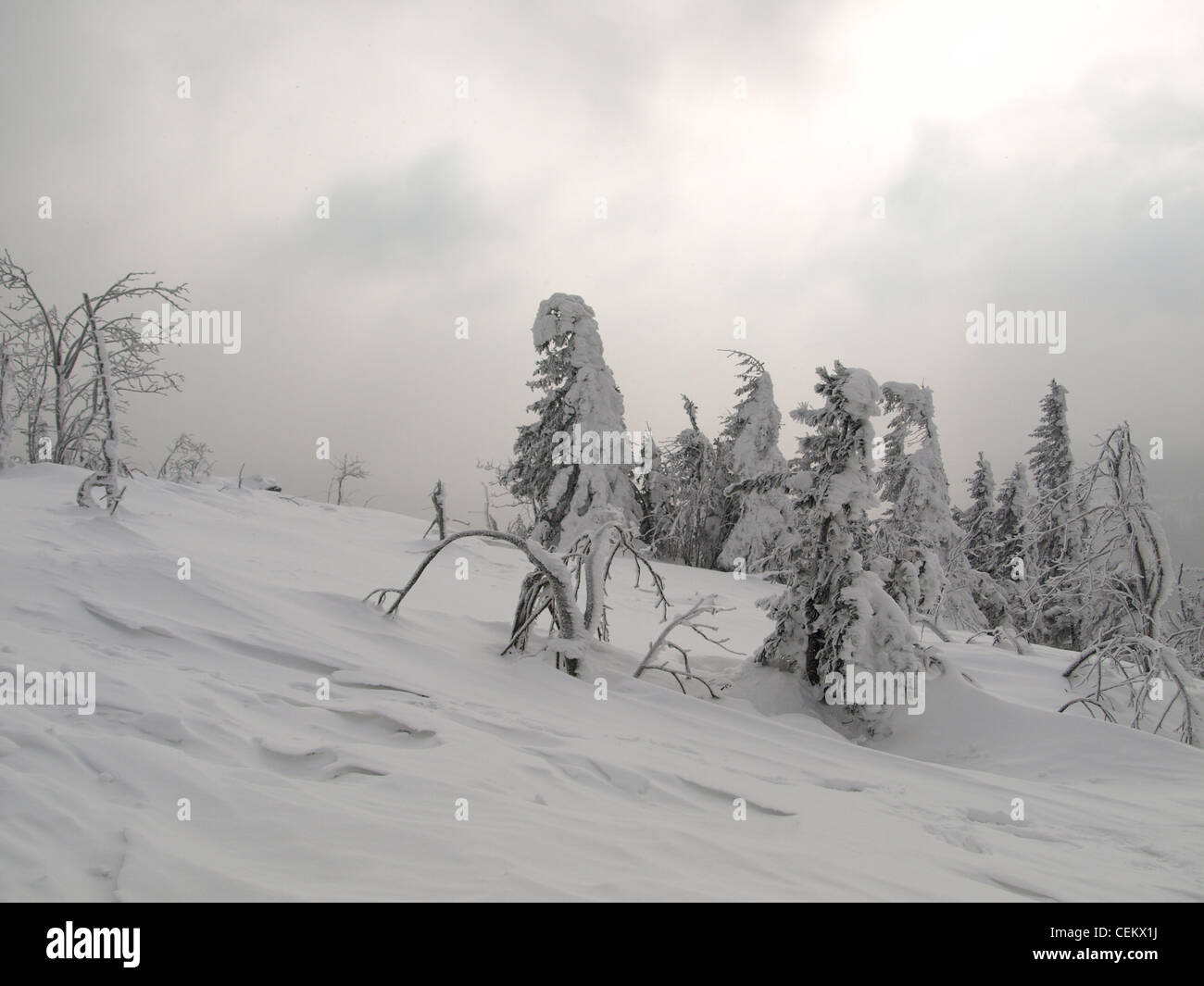 Snowscape winter hi-res stock photography and images - Alamy