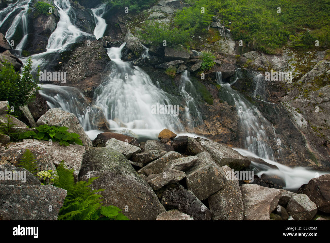 Waterfall in green nature in Austria Stock Photo - Alamy
