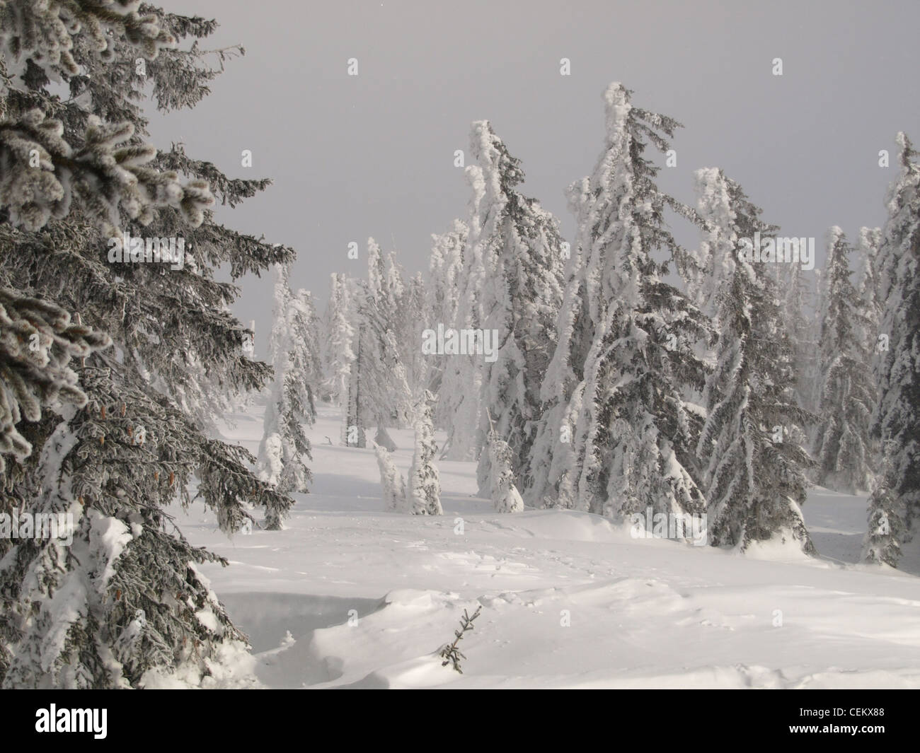Landscapes snowscape hi-res stock photography and images - Alamy