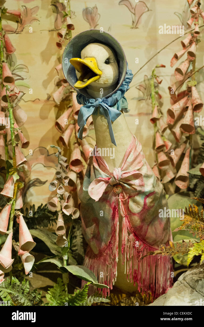 Jemima Duck High Resolution Stock Photography and Images - Alamy