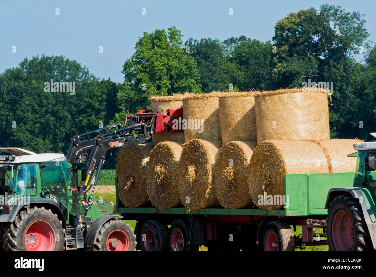 Cutting green hay hi-res stock photography and images - Alamy