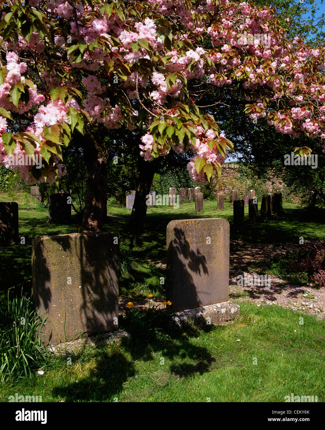Co Laois, Rosenallis, 1700 Quaker Graveyard, Oldest In Ireland Stock ...
