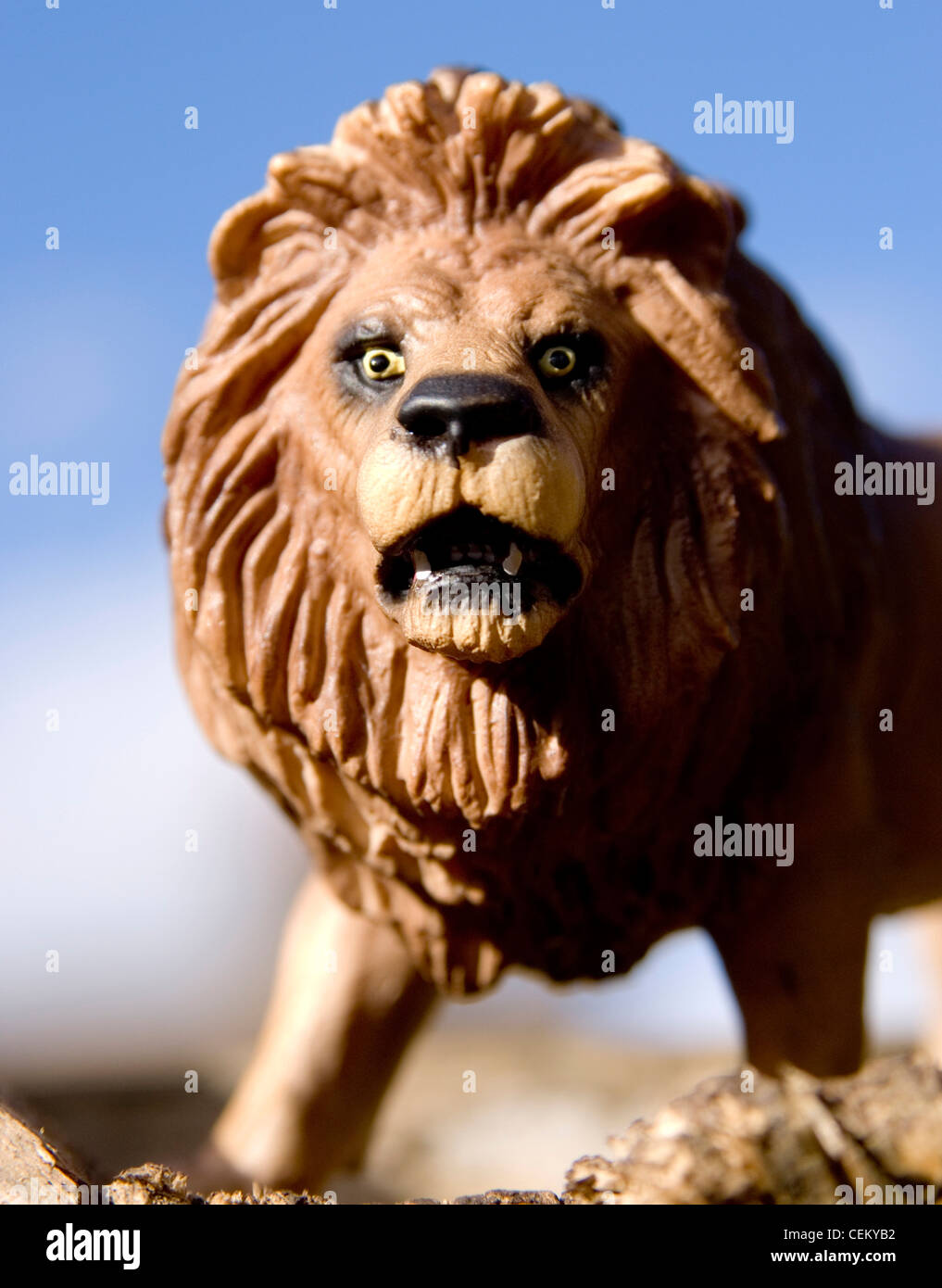 Plastic signs hi-res stock photography and images - Alamy