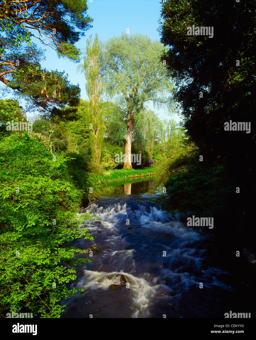 Camcor river hi-res stock photography and images - Alamy