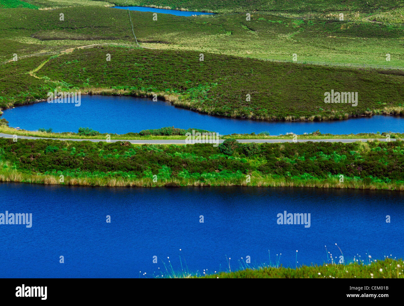 Boorin Nature Reserve, Co Tyrone, Ireland Stock Photo - Alamy
